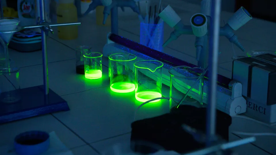 Fotogalerie 2023 | Univerzita Pardubice