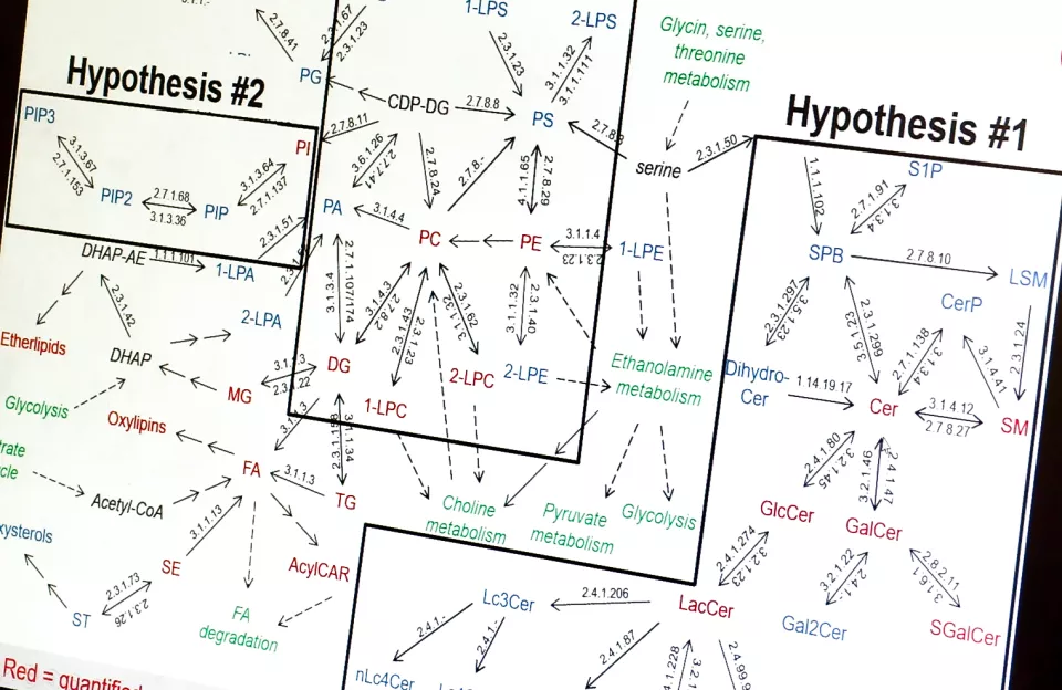 Excellent Scientific Teams | Univerzita Pardubice