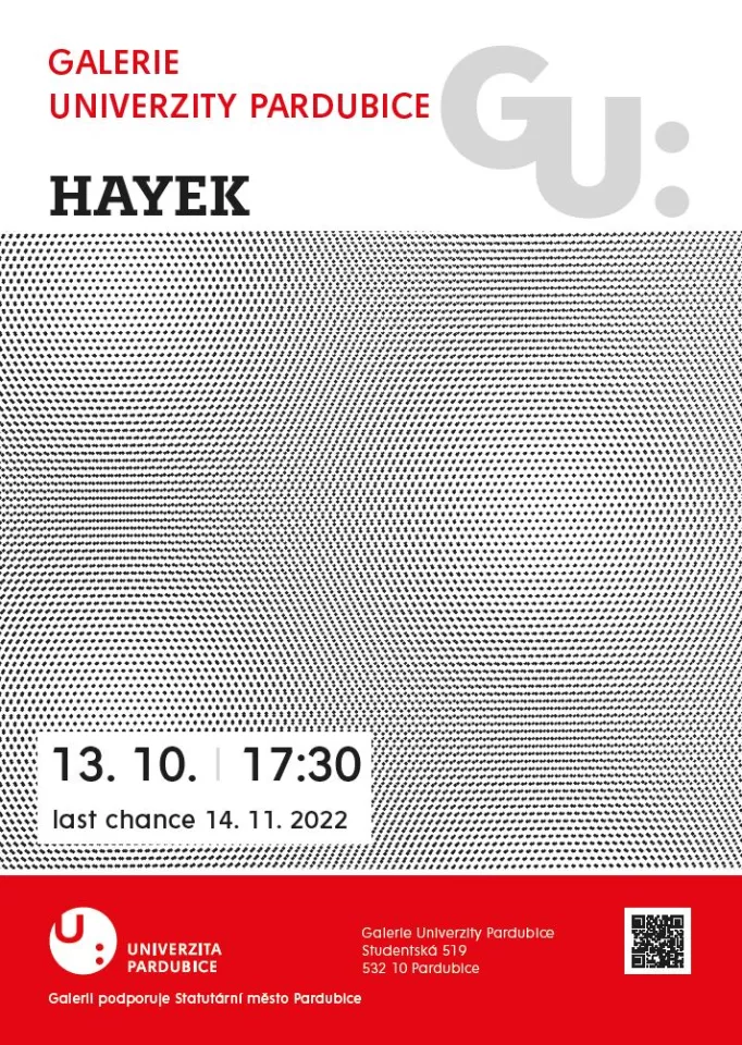 Galerie univerzity: Pavel Hayek | Univerzita Pardubice